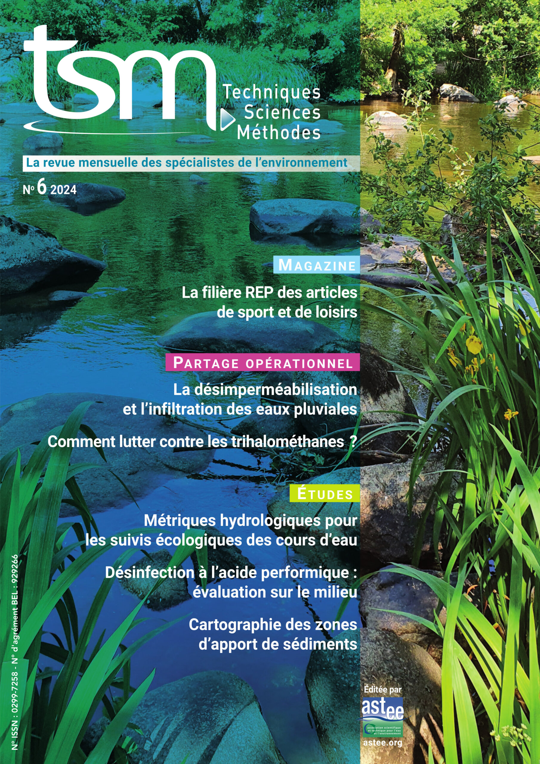 TSM 6 2024 - Astee TSM